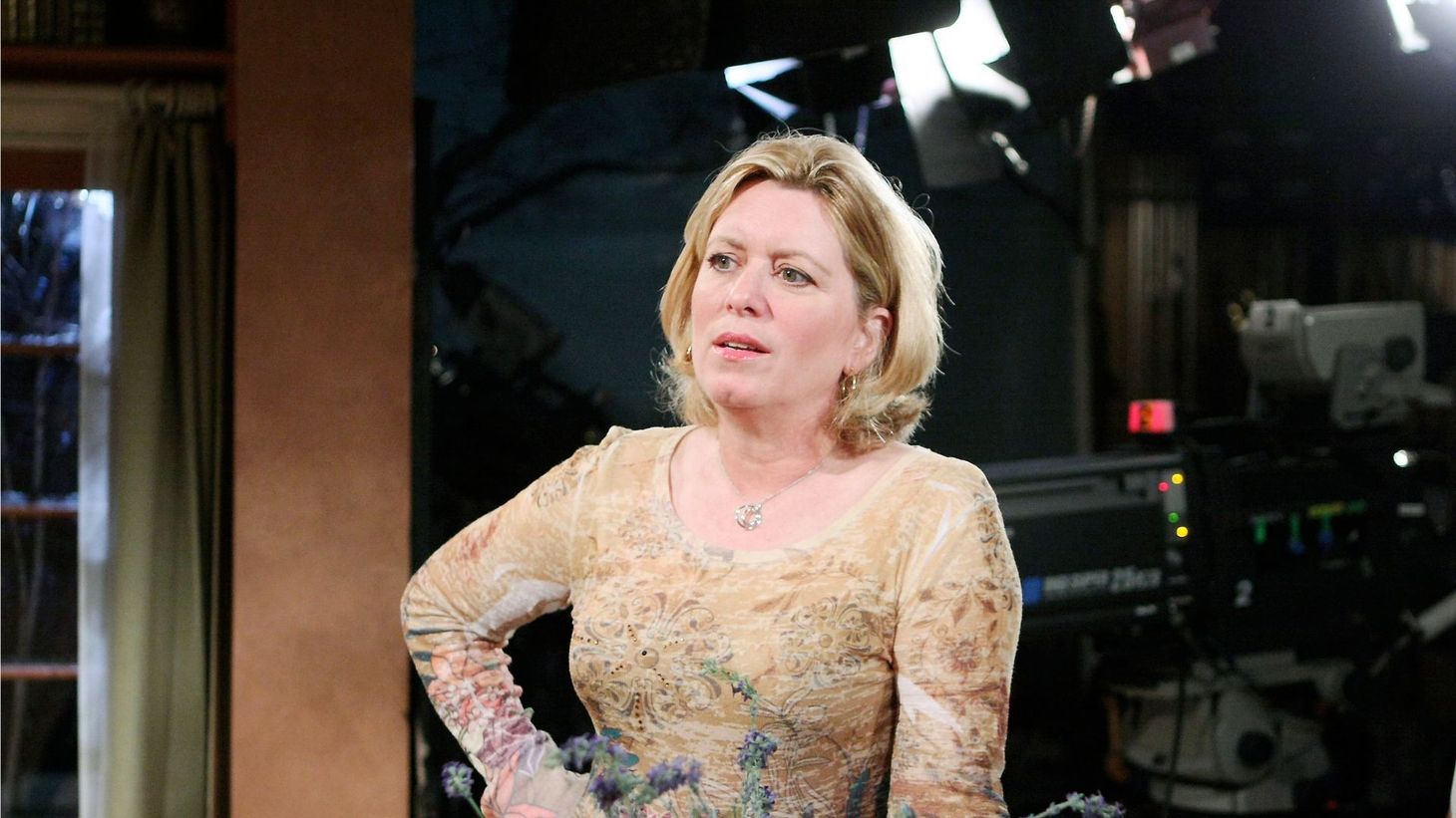 The Young and the Restless veteran director Sally McDonald is named the ...