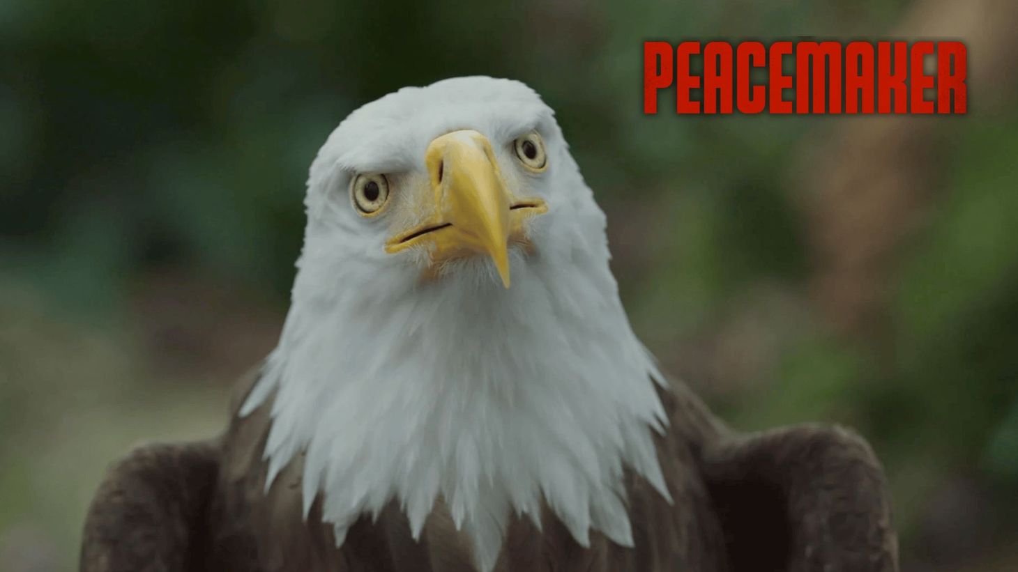 Prime Eagle: Peacemaker’s Prime Eagle and the Thunderbird debate: myth ...