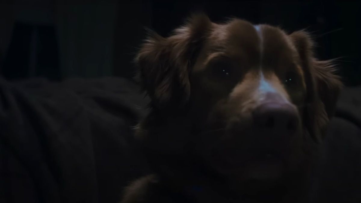 Good Boy ending explained: The real horrors inside a dog's mind