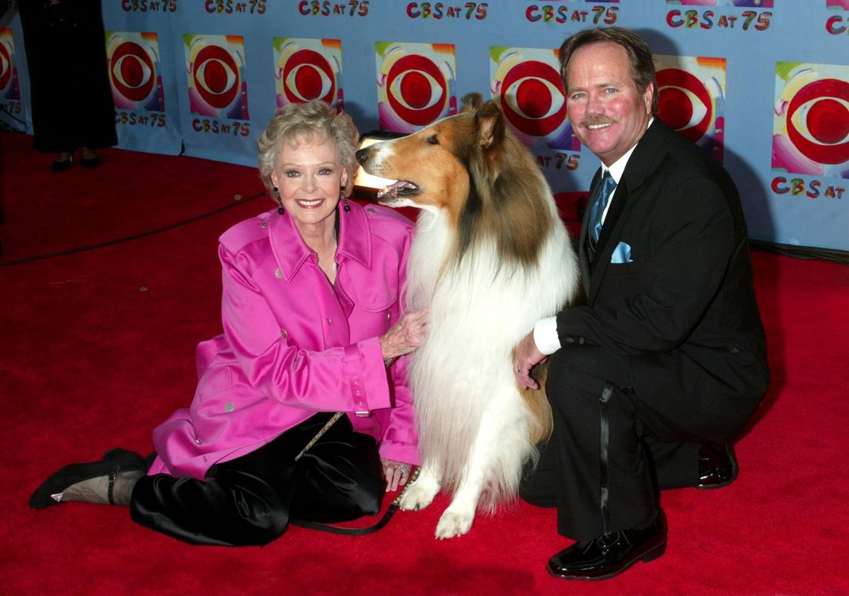 Lassie cast: Looking back at the lives and legacies of the show’s stars ...