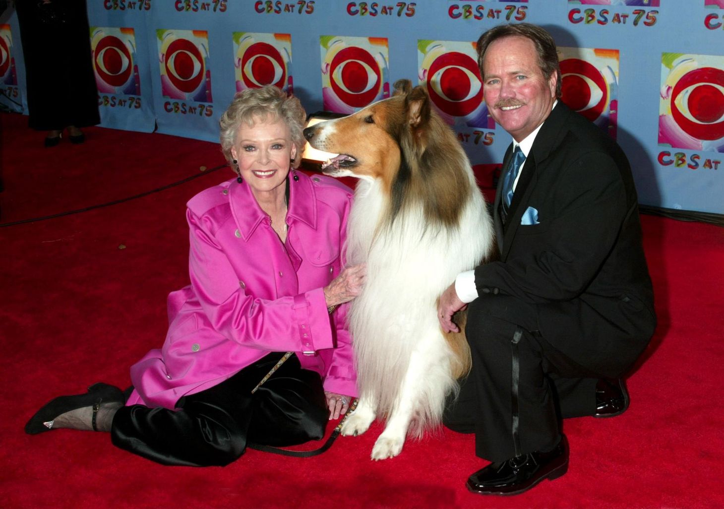 Lassie cast: Looking back at the lives and legacies of the show’s stars ...