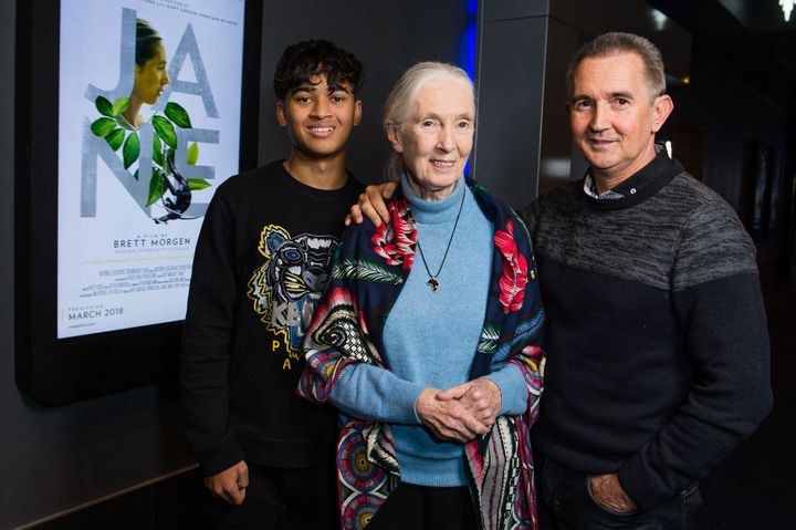 Who is Hugo Eric Louis van Lawick’s wife? What we know of Jane Goodall ...