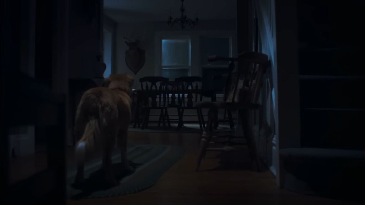 Good Boy ending explained: The real horrors inside a dog's mind