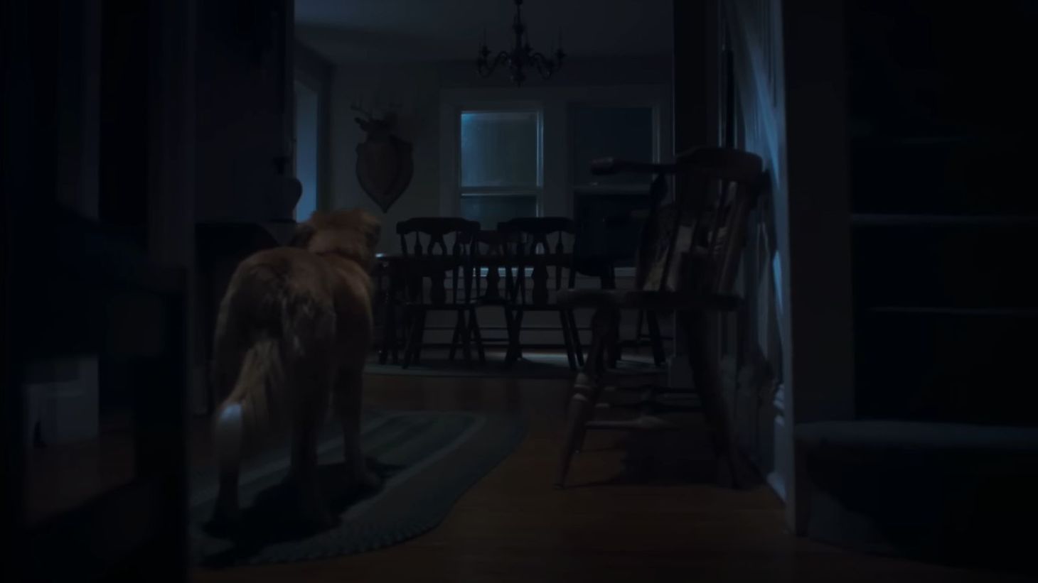 Good Boy ending explained: The real horrors inside a dog's mind