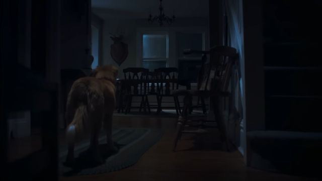 Good Boy ending explained: The real horrors inside a dog's mind