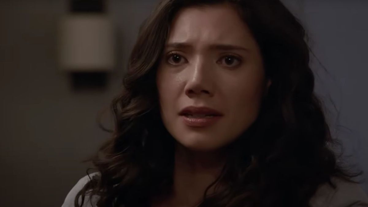 Chicago Fire Season 14 cast and character guide: Who plays whom in the ...