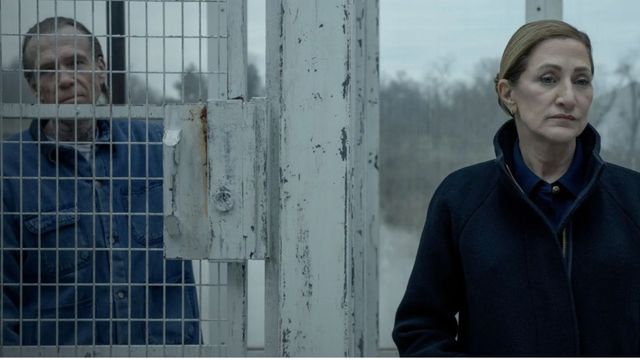 Who plays Merle Callahan on Mayor of Kingstown? Actor's career and ...