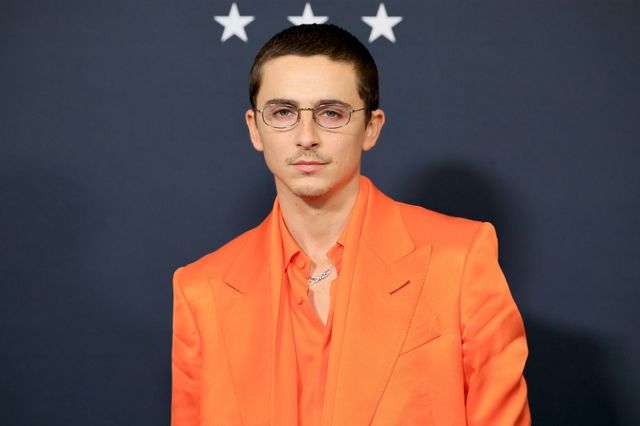 Who is Timothée Chalamet’s dad? All about Marc Chalamet as actor’s ...