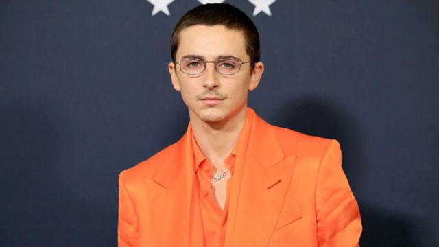 Was Timothée Chalamet in Homeland? His role in the drama series, explained