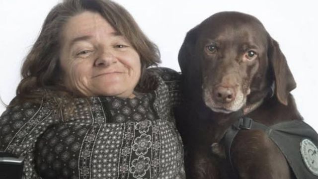 سکس با حیوان