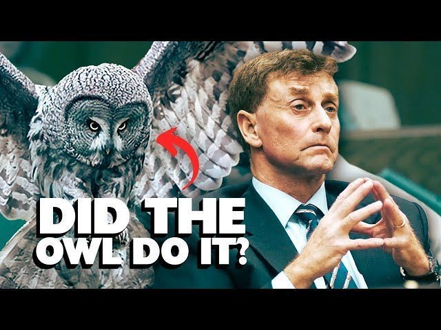 The Staircase: What is the Owl Theory in the true-crime series? Details ...