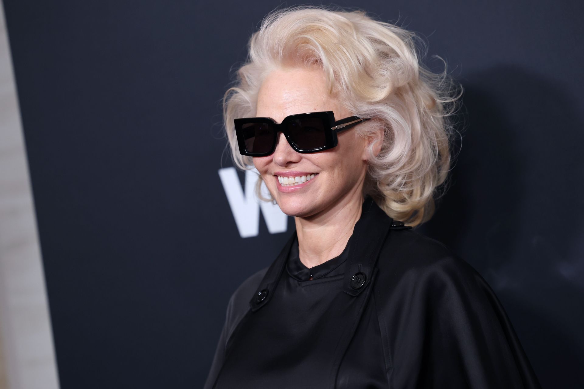 Did Seth Rogen produce 'Pam & Tommy' without Pamela Anderson's consent ...