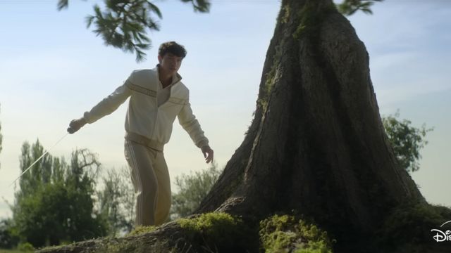 Percy Jackson and the Olympians Season 2: Thalia's Tree and how it sets ...