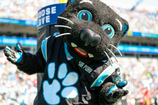 Is Sir Purr dead? Carolina Panthers mascot’s death claims go viral online