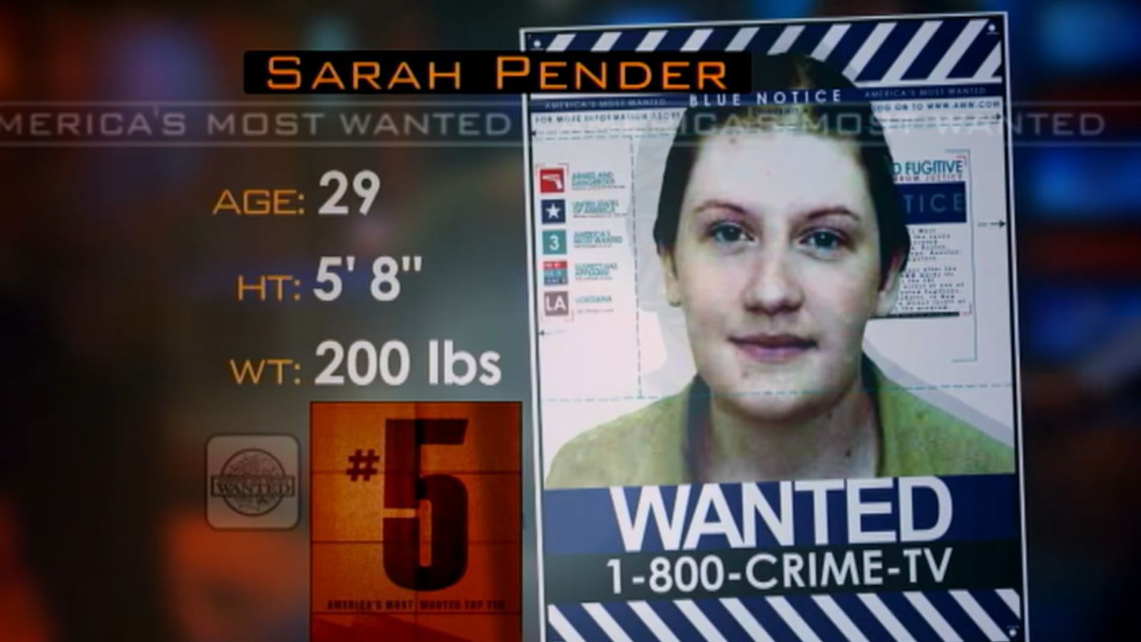 What real-life case is Girl on the Run: The Hunt for America's Most ...