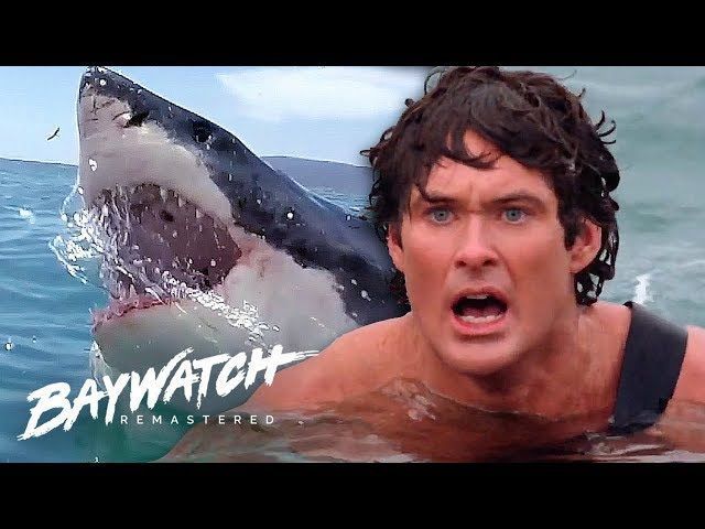 Fox's Baywatch reboot once again extends its star-studded line-up with ...
