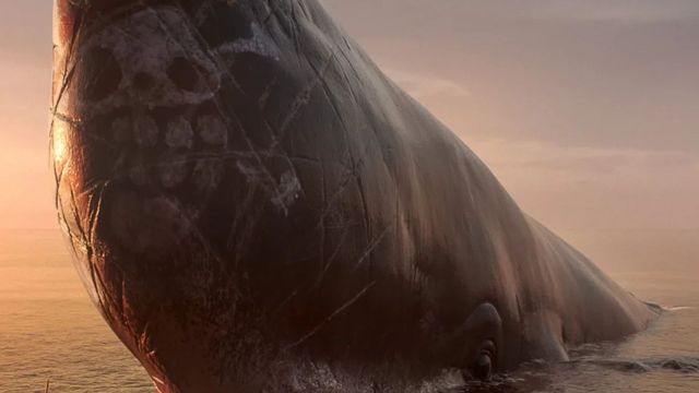 New One Piece Live-Action season 2 images show the first glimpse of ...