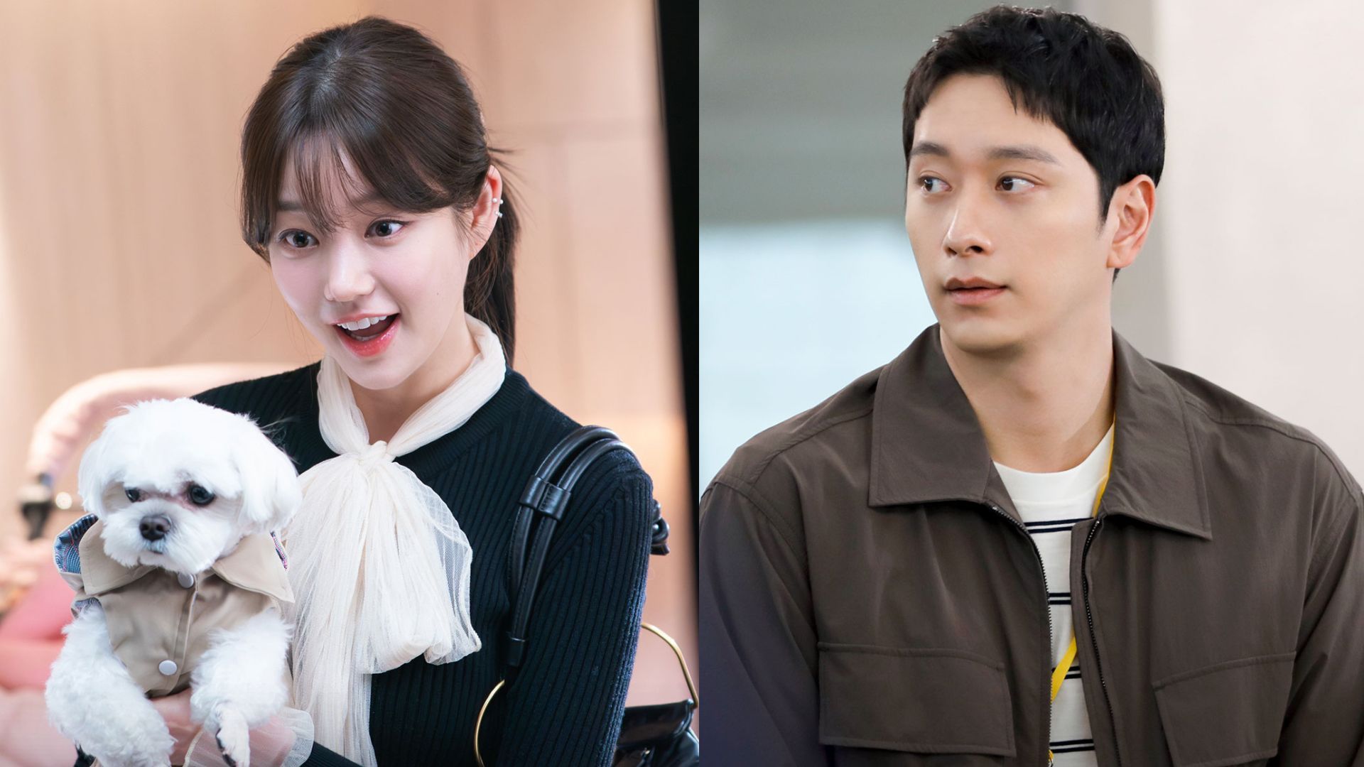 Yumi's Cells Season 3 cast and character guide: Here's who brought the ...