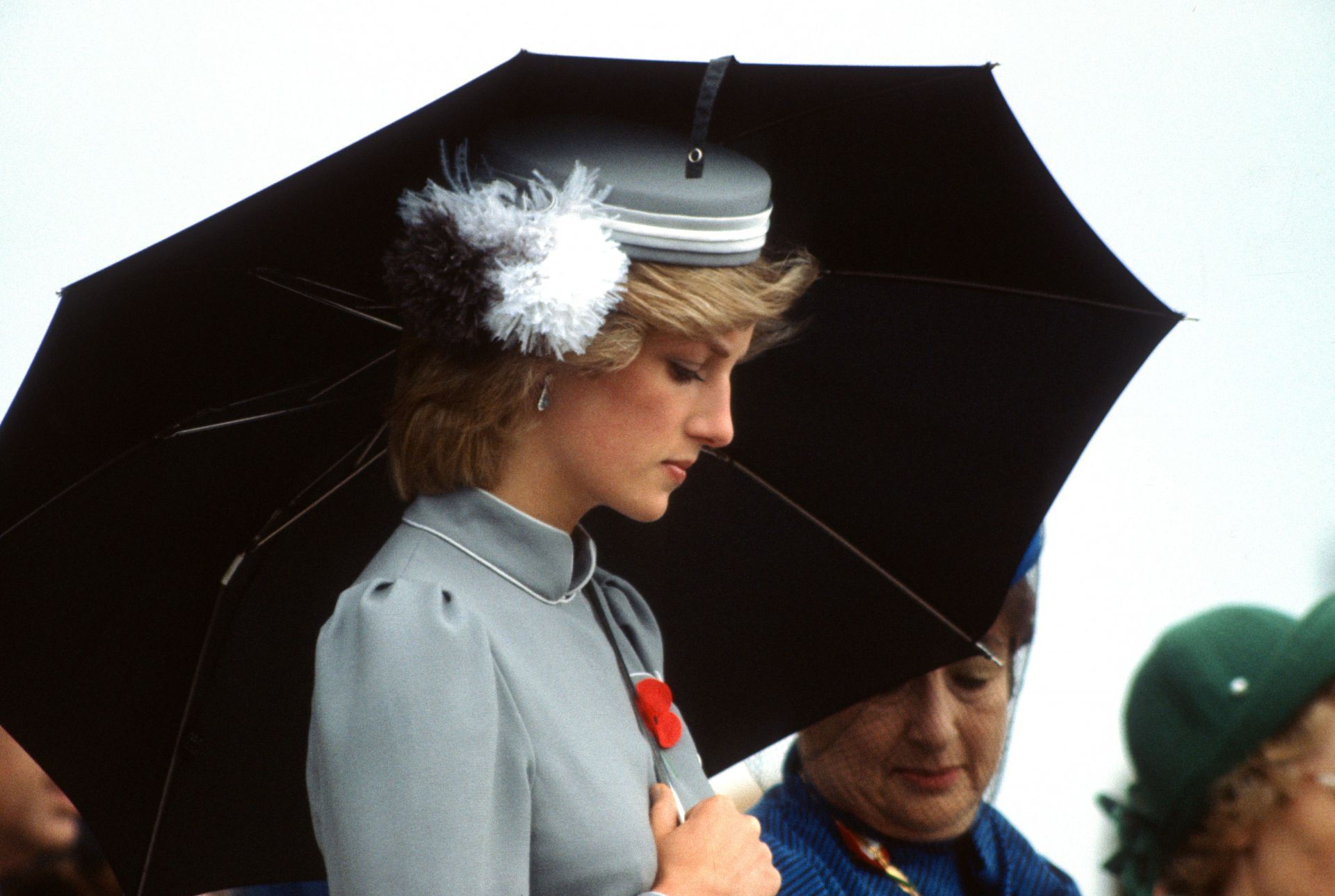 Diana: The Unheard Truth: Diana: The Unheard Truth - Release date news ...