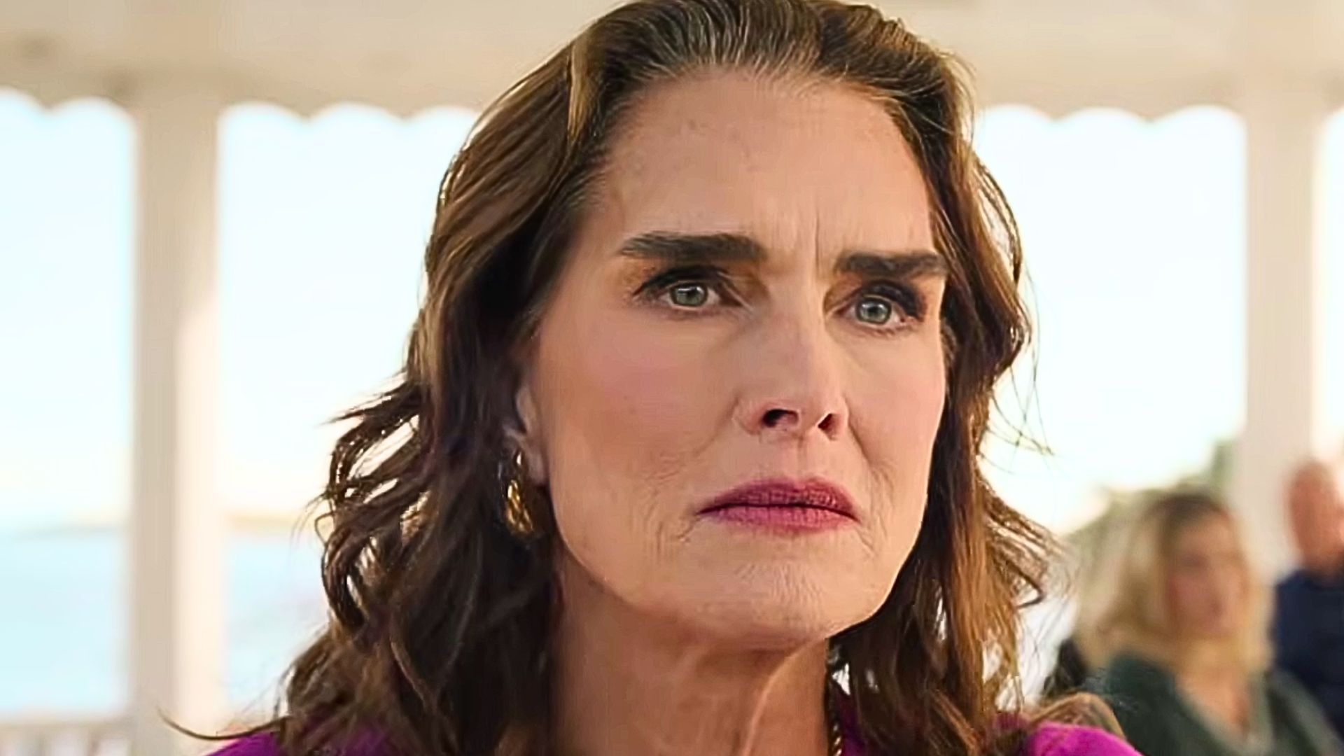 Brooke Shields' You’re Killing Me cast guide: Every star and character ...