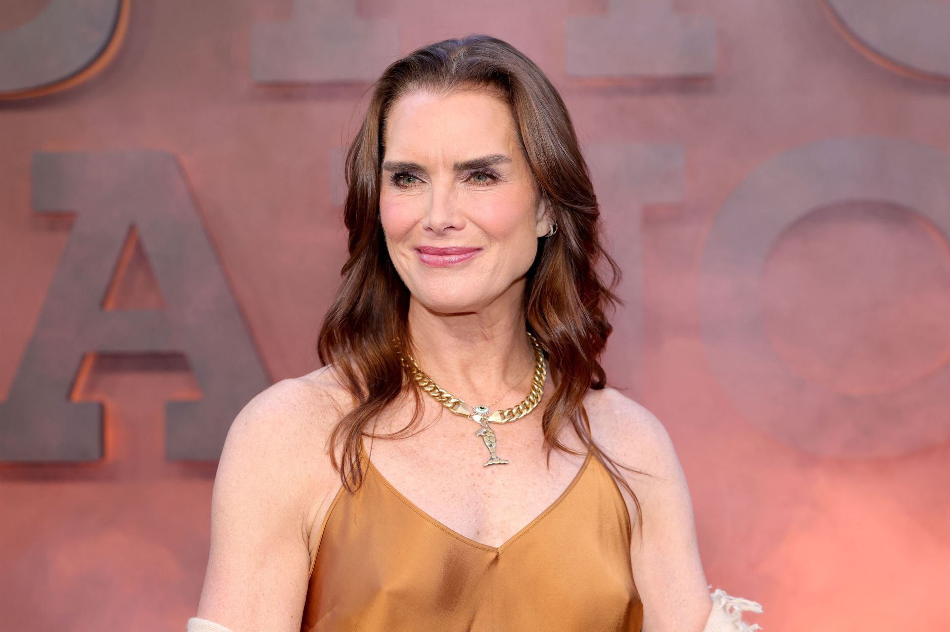 Brooke Shields reveals why her You're Killing Me character felt ...