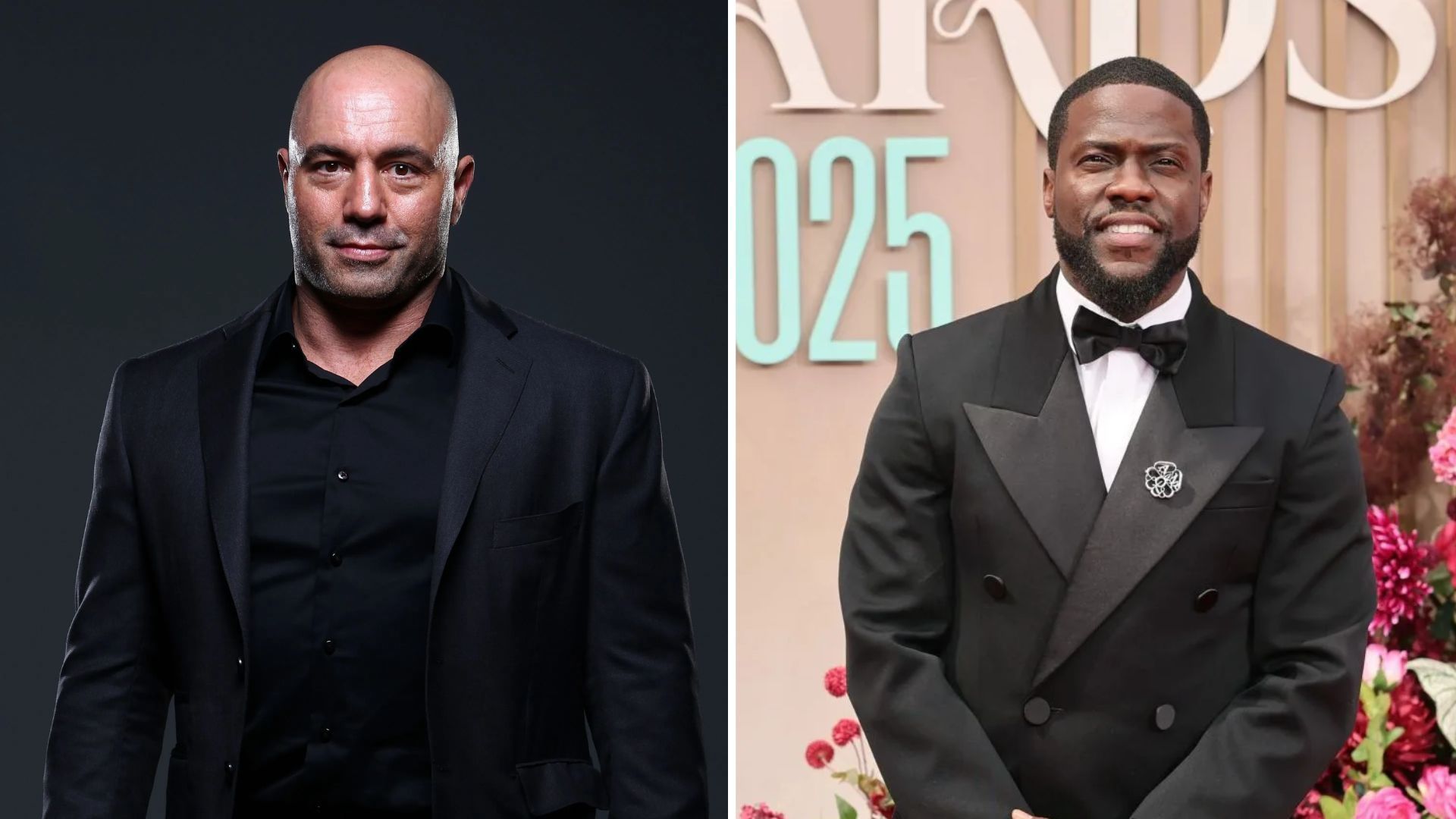 "You f**king traitor": Joe Rogan blasts comedians criticizing Tony ...