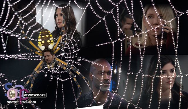 Tangled webs of deception
